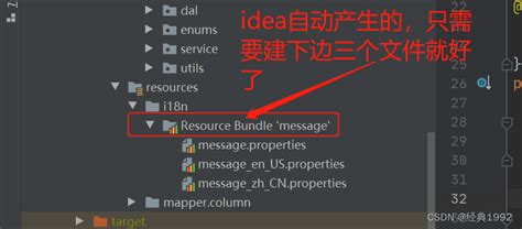 valid校验 国际化 中英文转换（提示语多语言） valid 国际化 csdn博客