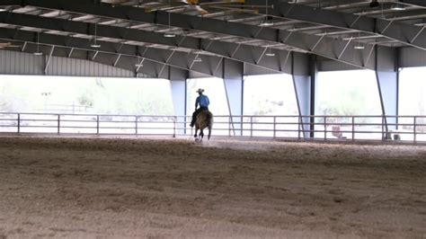 How To Prepare For Nrha Pattern 3 Matt Mills