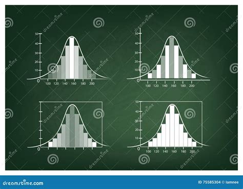 Gaussian Distribution Standard Normal Distribution Bell Curve Vector Illustration