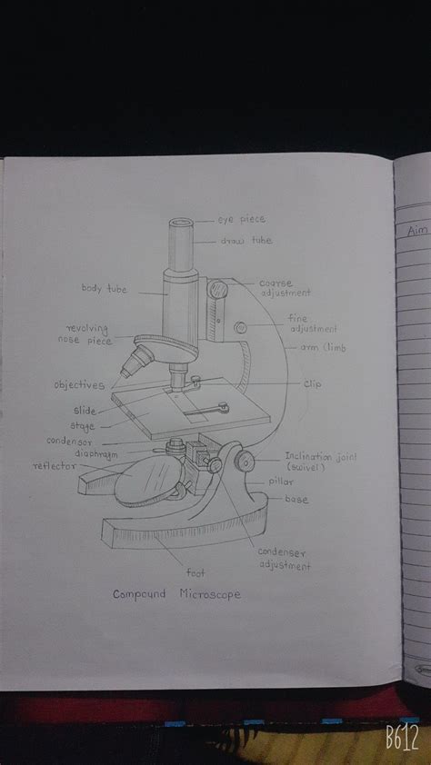 How To Draw A Microscope Step By Step [12 Easy Phase] Easy Drawings Step By Step Drawing