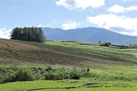 Kitakan Snap