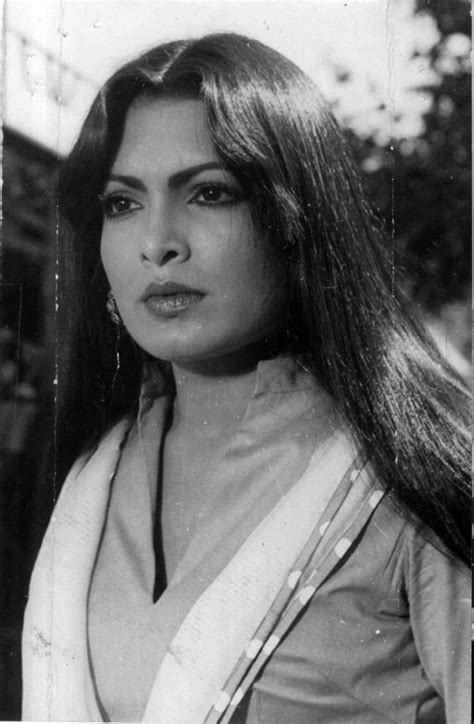 Happy Birthday Parveen Babi Entertainment Gallery News The Indian