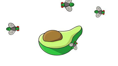 Animation Of An Avocado Surrounded By Flies 28328458 Stock Video At