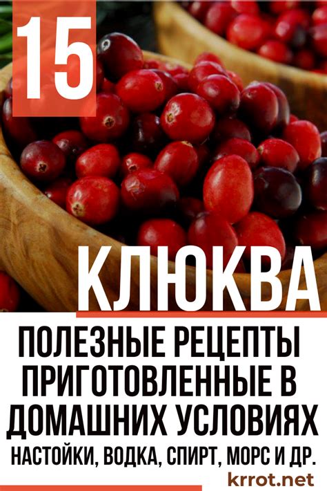 15 Рецептов Клюквы (Настойки, Водка, Спирт, Морс) +Отзывы