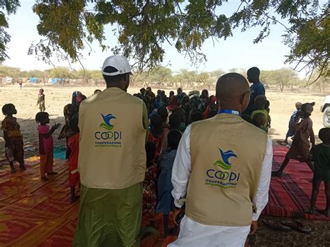 Lake Chad Beyond The Emergency Educational Support For Displaced