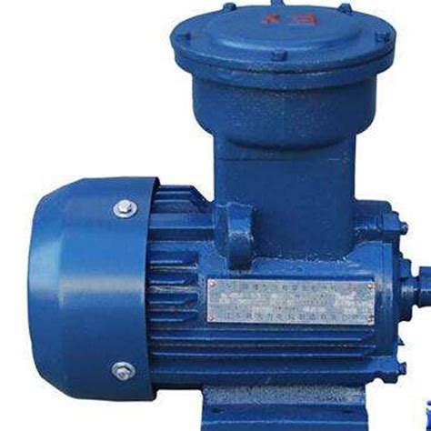Environment Friendly Dust Explosion Proof Motor Can Customize Explosion