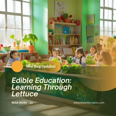 Edible Education Learning Through Lettuce The I Will Projects