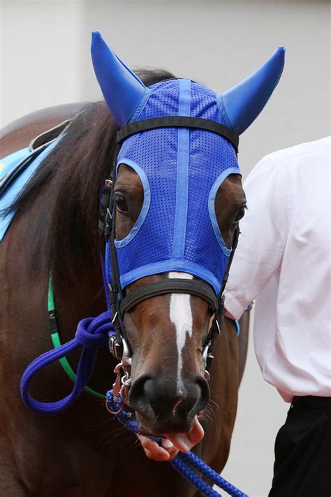 川崎競馬倶楽部ブログ 令和4年度第6回開催 スパーキングデビュー 勝ち馬のご紹介
