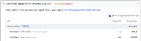 How To Serve Static Assets With An Efficient Cache Policy