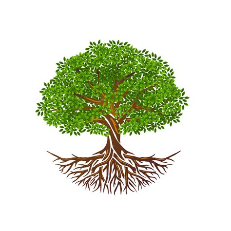 Premium Vector Tree Of Life Or Tree And Roots Vector Isolated Tree