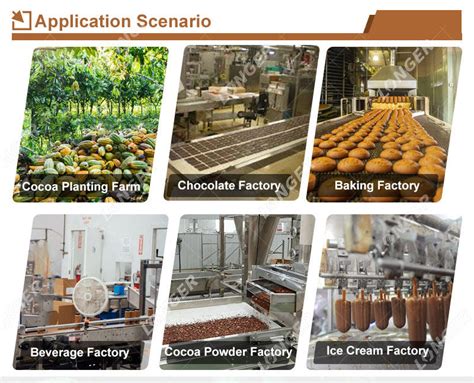 Professional Cocoa Powder Processing Machine Cocoa Powder Production