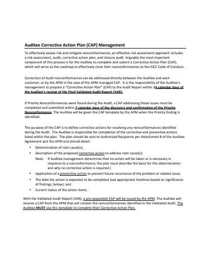 11 Audit Corrective Action Plan Templates In Ms Word Excel Pdf