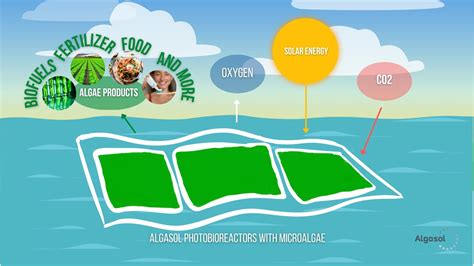 Carbon Sequestration