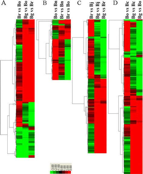 hierarchical cluster analysis of differentially expressed transcripts