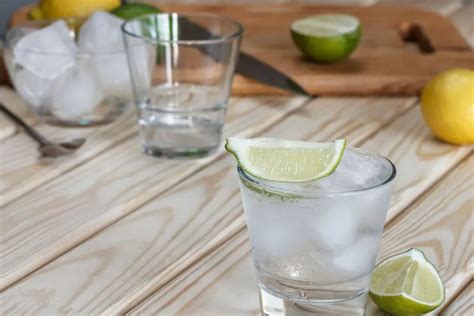 Gin Vs Vodka Whats The Difference Liquid Bread Mag