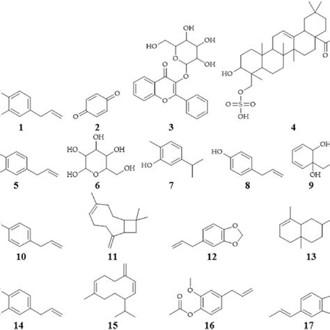 The Diagram Of Ergosterol Formation In Fungal Cells Emami Et Al 2017 Download Scientific