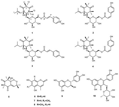 Plants Free Full Text Phytochemical Investigation Of Myrcianthes