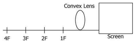 Physics Learnfast Review And Tutorial Hub