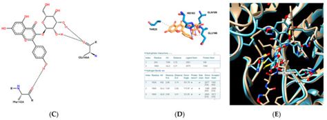 Symmetry Special Issue Symmetry And Its Application In The