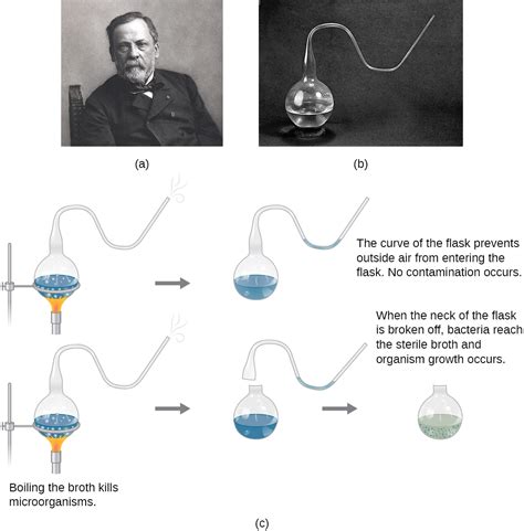 Louis Pasteur Experiment Swan Neck Flask