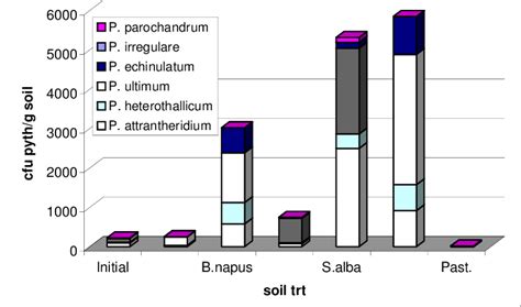 Pythium Spp Enrichment In Tukey Soil As Determined By Real Time PCR Download Scientific Diagram