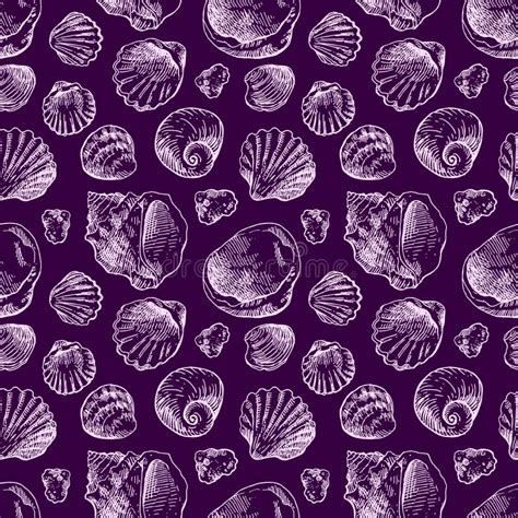 Shell Hand Drawn Stock Vector Illustration Of Nautilus