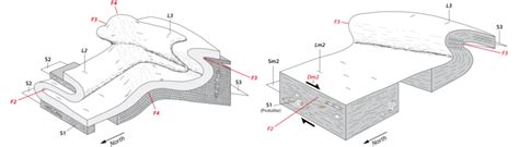 Synoptic Pictures Of The Different Deformation Phases Recognized In Download Scientific Diagram