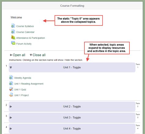 moodle course formatting options teaching nmc