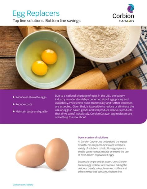 Egg Replacement Solutions Pdf