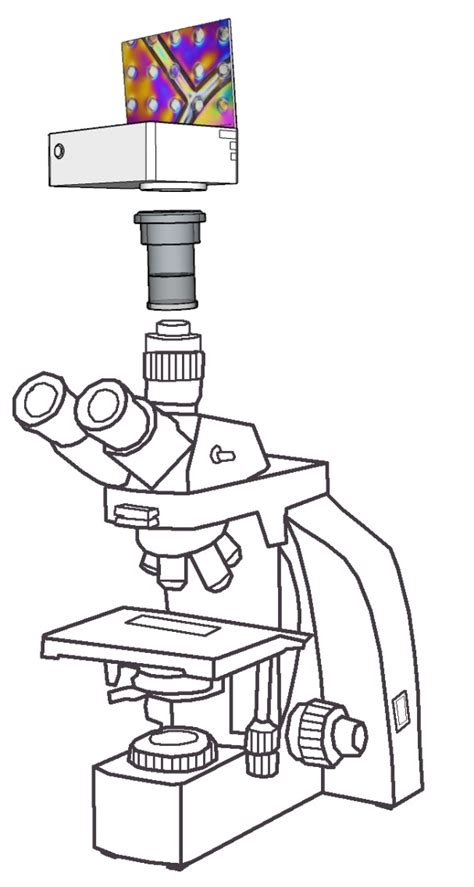 Binocular Microscope Drawing The History Of Stereo Microscopy