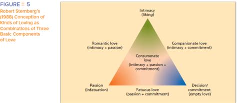 Psy 3510 Attraction And Intimacy Flashcards Quizlet