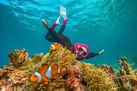 Deretan Artis Yang Hobi Menyelami Keindahan Bawah Laut