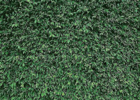 Green Leaves Backdrop Grass Wall Safari Birthday Party Decorations