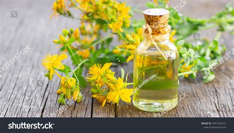 Glass Wort Images Stock Photos Vectors Shutterstock