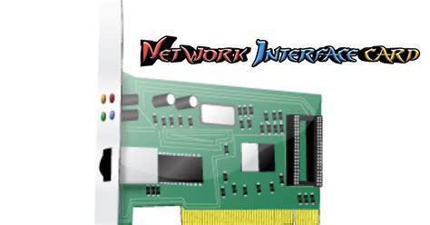 Apa Itu Network Interface Card