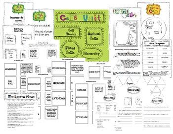 CELL BASICS TeachersPayTeachers Com Science Cells Teaching Science Homebabe Science