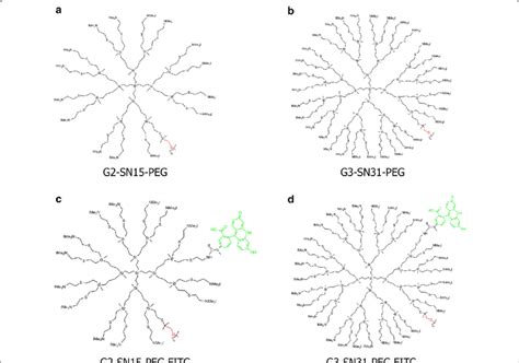 Schematic Representation Of Pegylated Cationic Dendrimers Molecular
