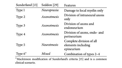 Peripherial Nerve Repair Pptx