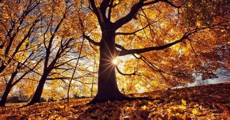 Ето какво време ни очаква до края на работната седмица