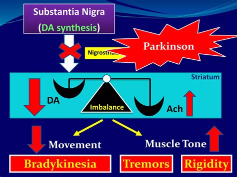 Antiparkinsonian Drugs Full Lecture Pdf