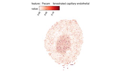 Cell Type Mapping With Nnls • Semla