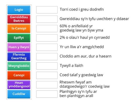 Coedwig Law Match Up