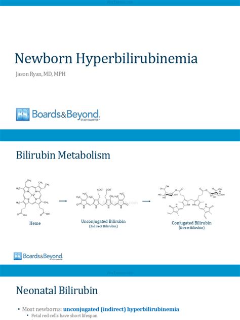 Newborn Hyperbilirubinemia Atf Pdf Medical Specialties Diseases And Disorders