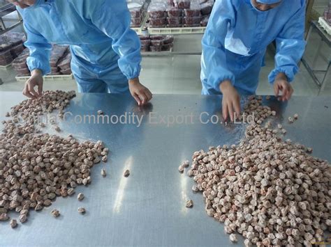 Saliditos Salt Dry Plumchina Benfang Price Supplier 21food