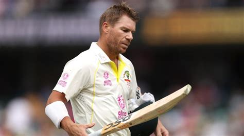 David Warner Withdraws Captaincy Ban Appeal Following Offensive Panel