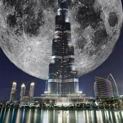 Manel Saad Saoud Phd Student Université Mohamed El Bachir El