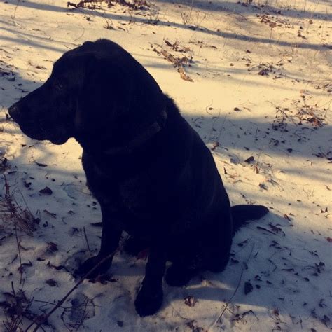 Ethan Reason Youtube