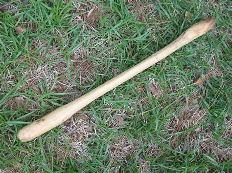 Survival Weapons The Throwing Stick Sensible Survival