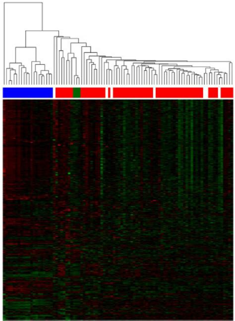 Unsupervised Clustering Based On Mirna Expression The Unsupervised