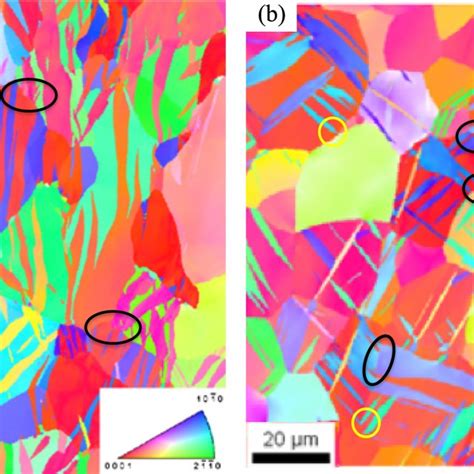 Tensile Twinning Microstructure In Hcp Metals Electron Backscatter